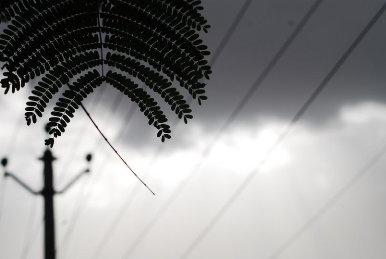 Myriad Moods Of Nature | Shadows Galore