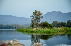 Satpura: The River Safari On Denwa | Shadows Galore