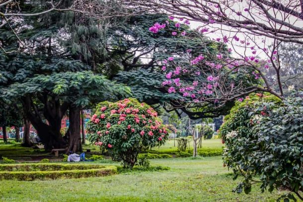 The Ultimate Travel Guide To Bangalore | Shadows Galore